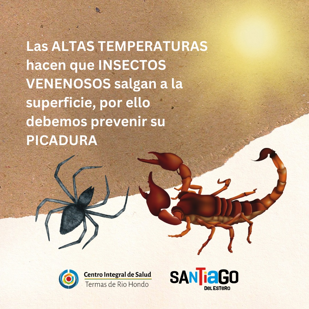 Recomendaciones ante la aparición de insectos venenosos – Santiago del ...